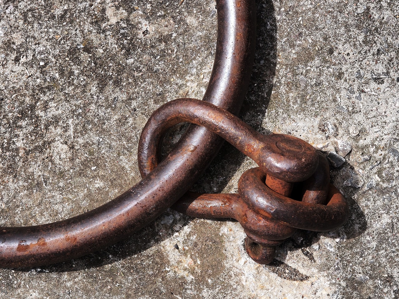 The 1619 Project and the Fear of History - Word&Way