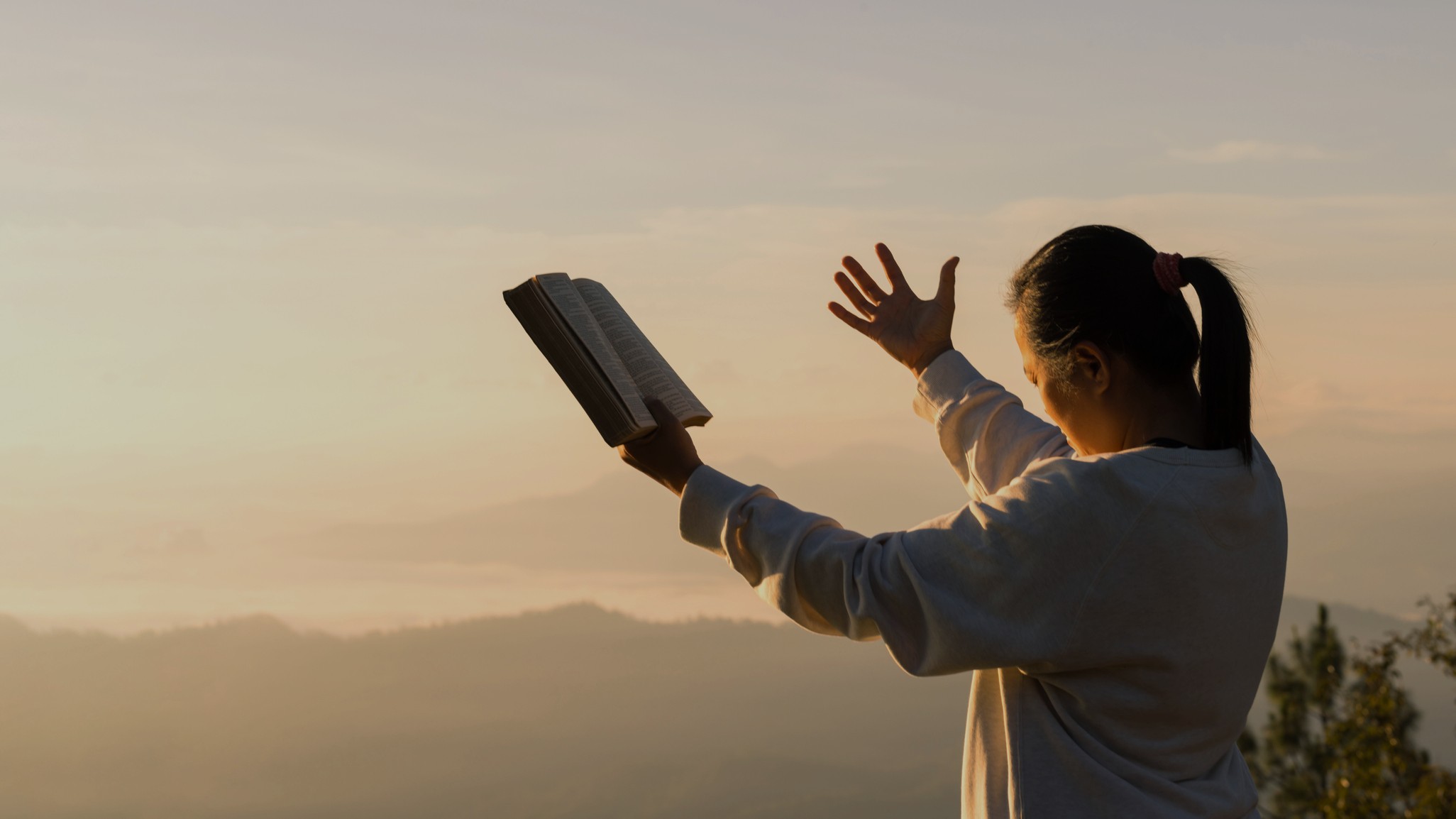 Review & Giveaway: The Seven Mountains Mandate - Word&Way